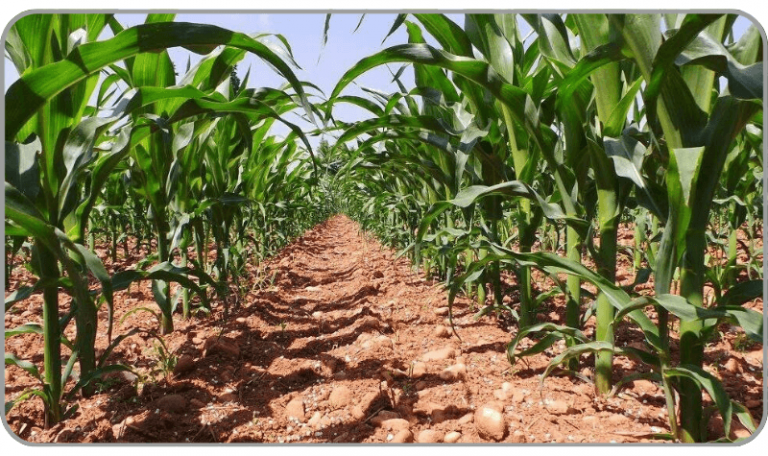 DPE Environment Protection Enhancements System – Protect your ...